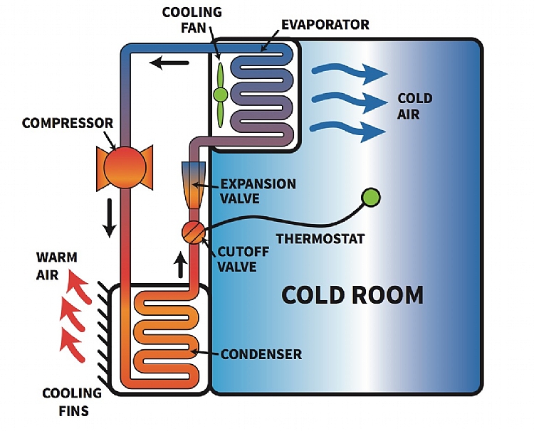 What are the basic principles of cold storage?