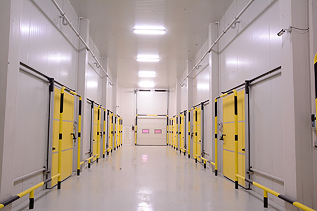 How to design a cold storage warehouse?