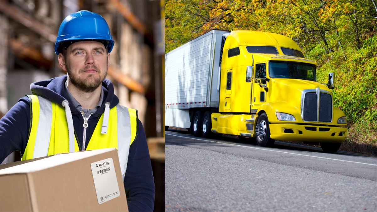 What are the 3 main components of cold chain?