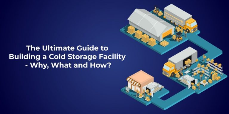 Frosty Feasts: Unlocking the Secrets of Cold Storage