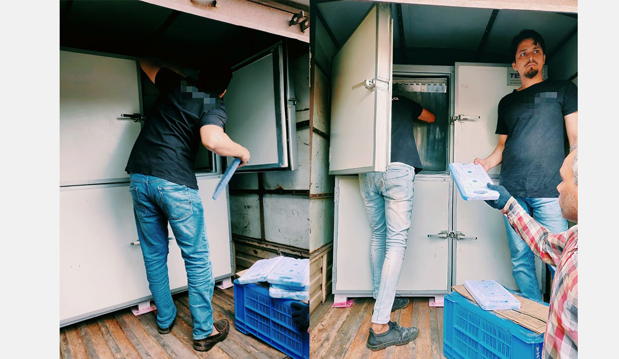 The Do’s and Don’ts of Cold Storage: What to Avoid