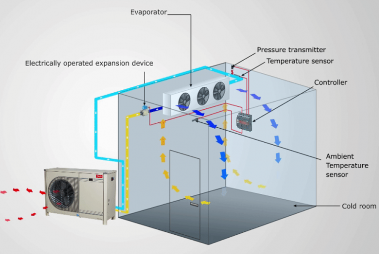 The Science of Cold Storage: How Building Design Affects Temperature ...