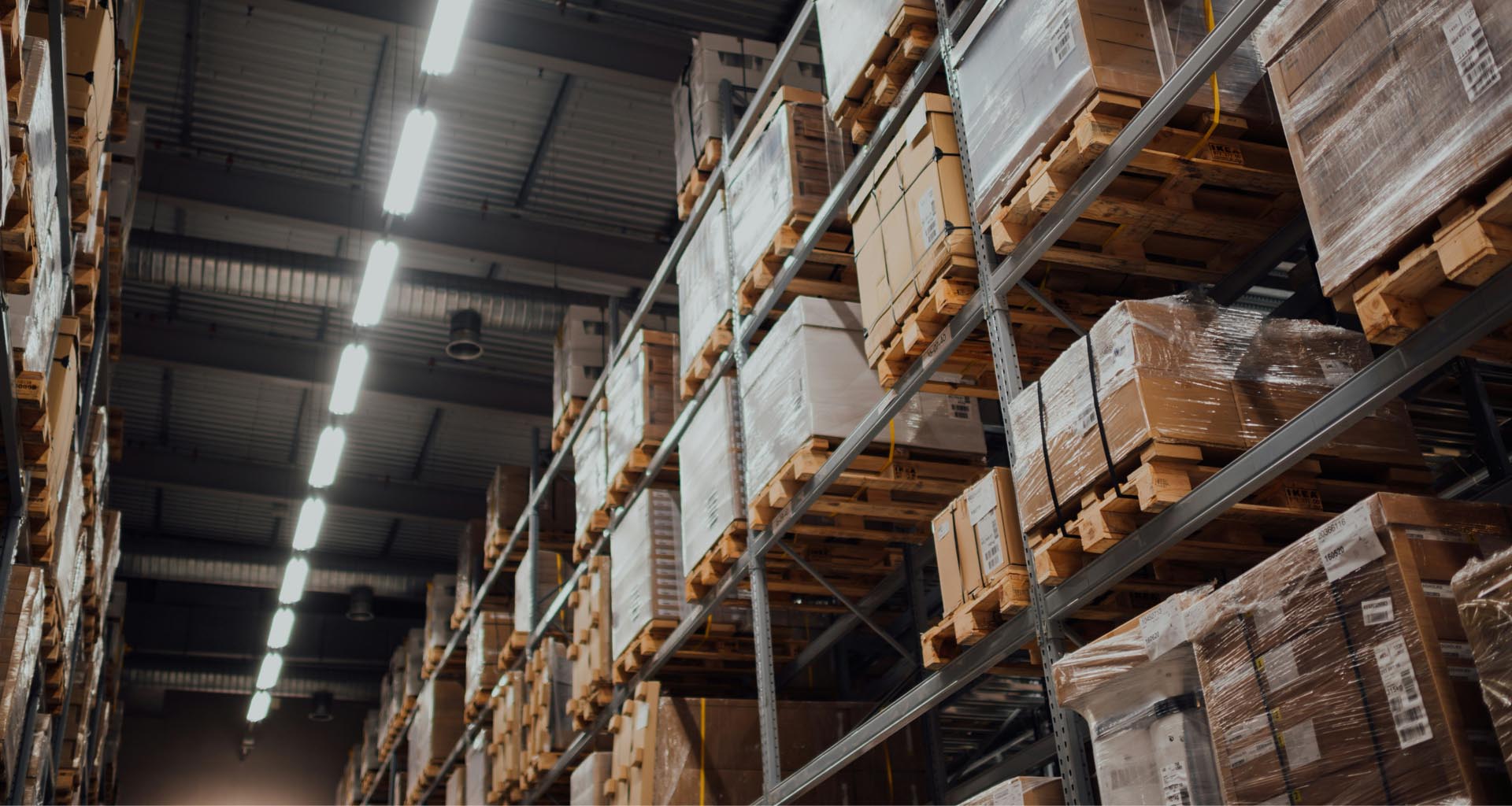 Industries That Rely on Cold Storage Facilities (And Why)